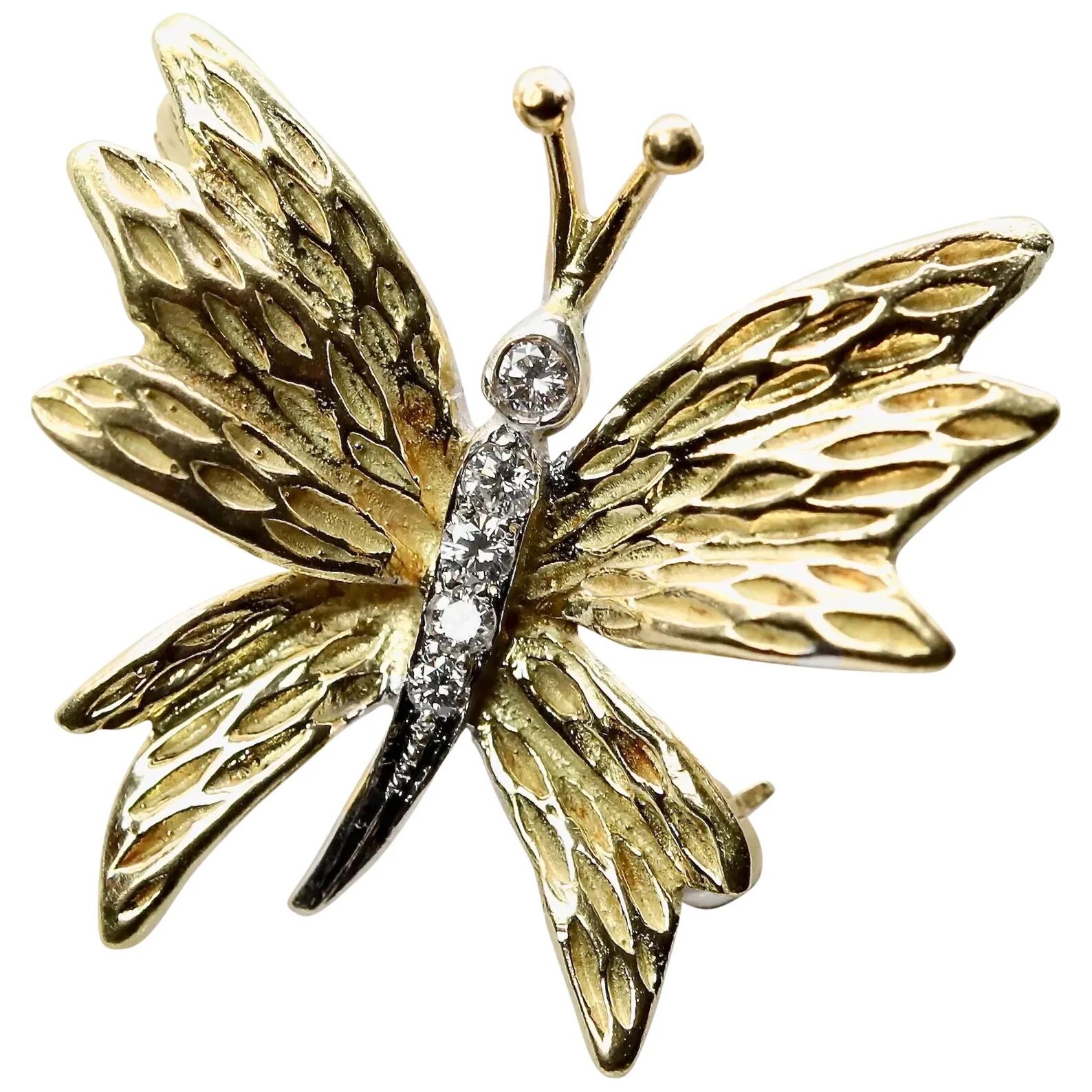 21 Yellow Butterfly Meanings: What Do They Symbolize?